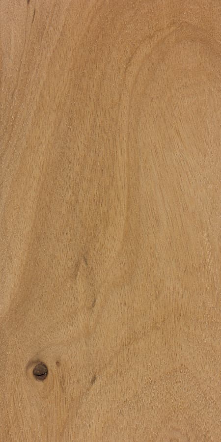Amoora Wood - Properties, Uses & Pricing | ForestSource